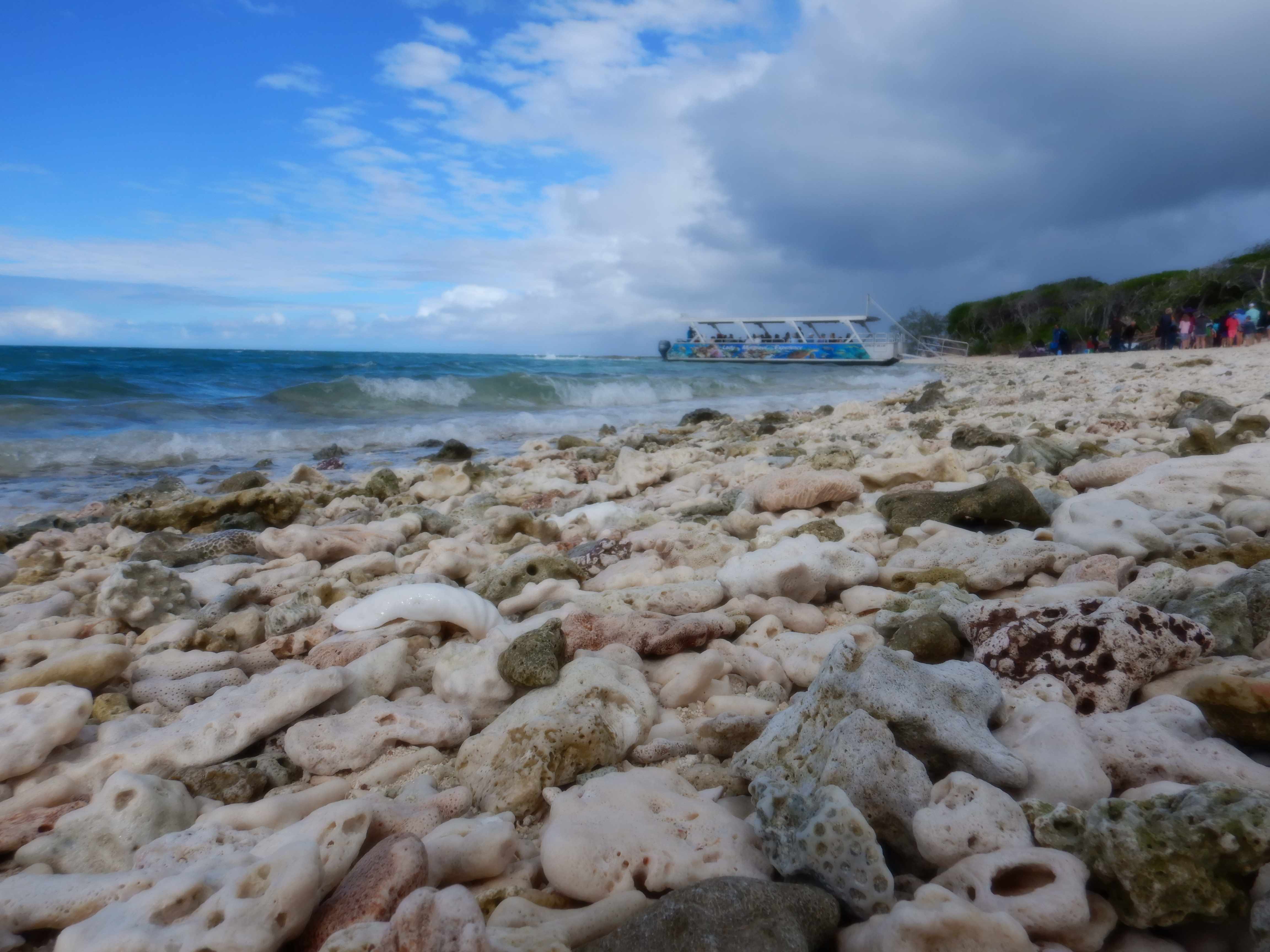 Great Barrier Reef – Lady Musgrave Island – Epic Odyssey