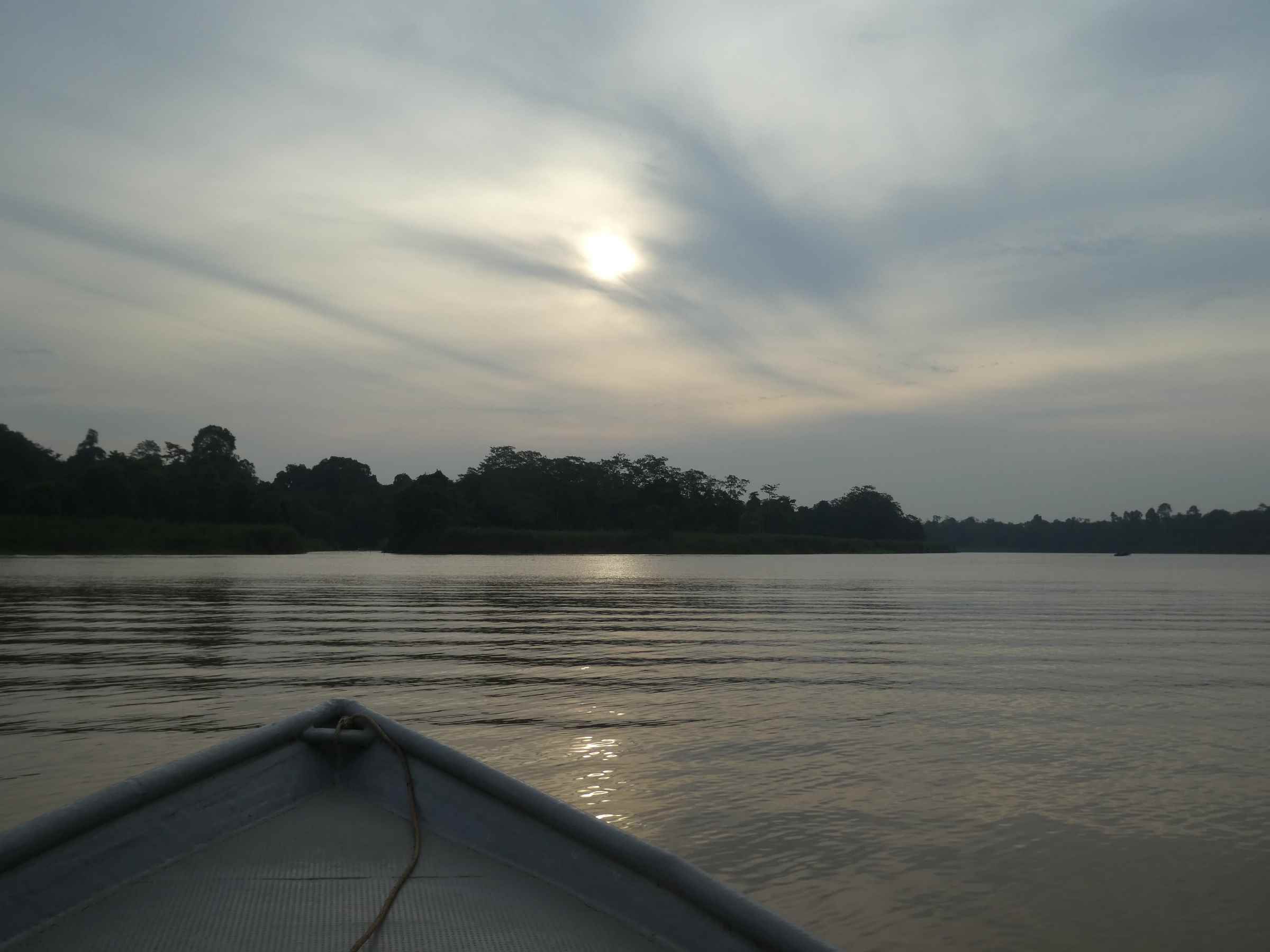 Sukau River Safari – Epic Odyssey