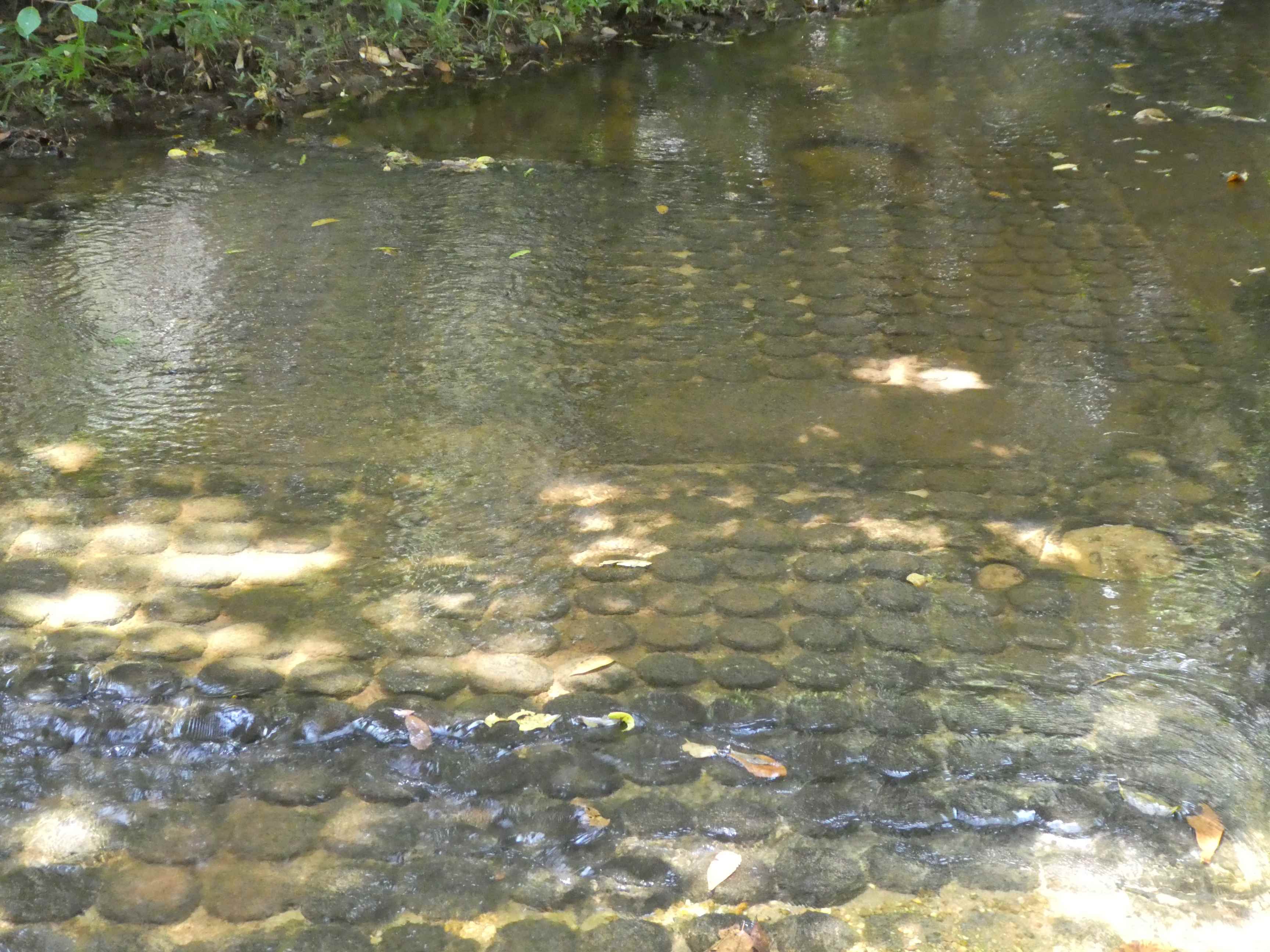 Angkor Wat – Epic Odyssey